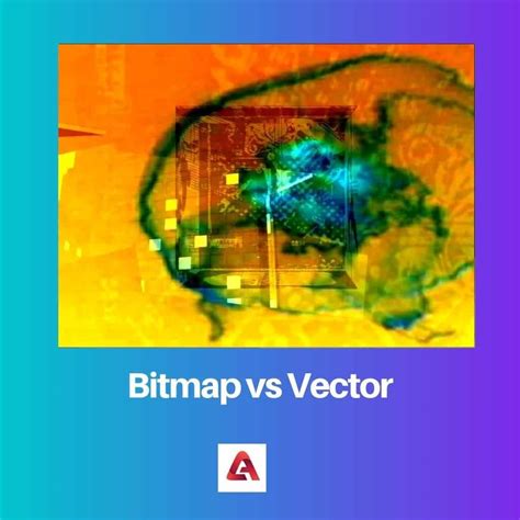 Bitmap Vs Vector Difference And Comparison