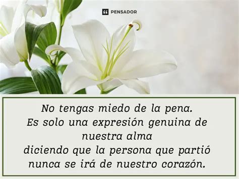 Frases y mensajes de pésame y condolencias para ayudar y dar consuelo