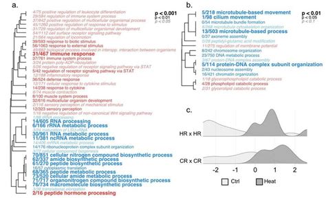 hierarchical clustering of ontology terms enriched by genes download scientific diagram