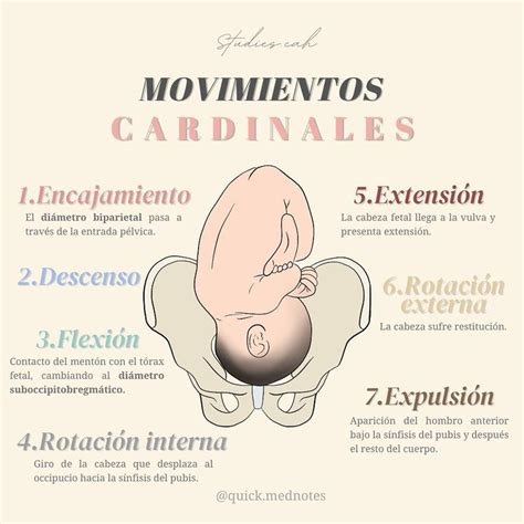 Bianca Palomares On Instagram Movimientos Cardinales Los