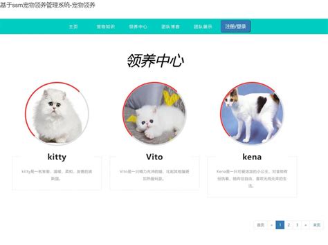 基于java ssm 宠物领养管理系统 计算机程序毕设网