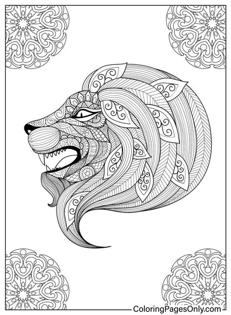 45 Leeuw Kleurplaten ColoringPagesOnly