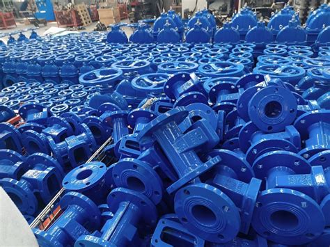 Ductile Iron Carbon Steel Wcb Stainless Stee L304 316 Flanged Non