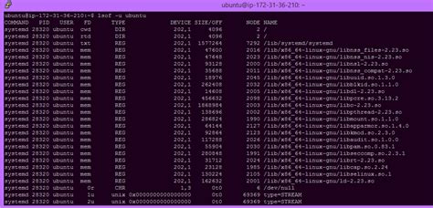 How To List Open Files In Linux Lsof Command Geeksforgeeks