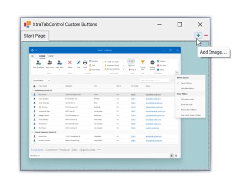 github devexpress examples winforms tab control custom header buttons display custom tab