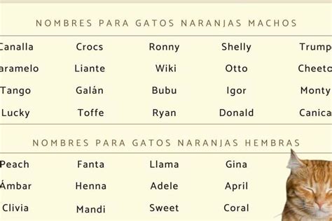 Descubre los 32 apodos visuales más divertidos y originales