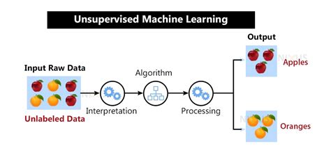unsupervised learning types algorithms and applications nixus