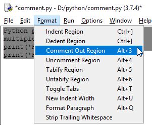 Commenting Multiple Lines In Vs Code A Comprehensive Guide
