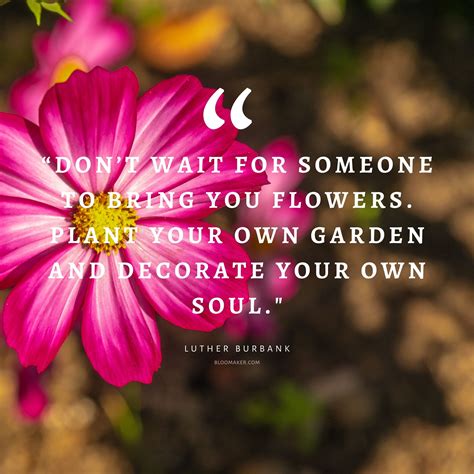 Flower Quotes For Her Best Flower Site