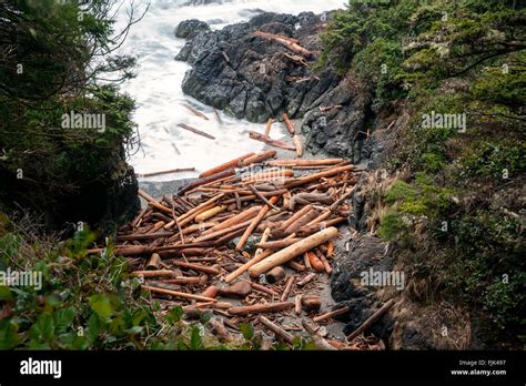 Wild Pacific Trail Ucluelet Vancouver Island British Columbia