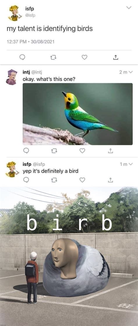 B I R B Imgflip