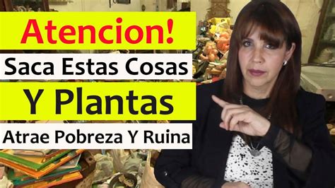 Cosas Y Plantas Que Debes Sacar De Tu Casa Urgentemente Atraen Pobreza