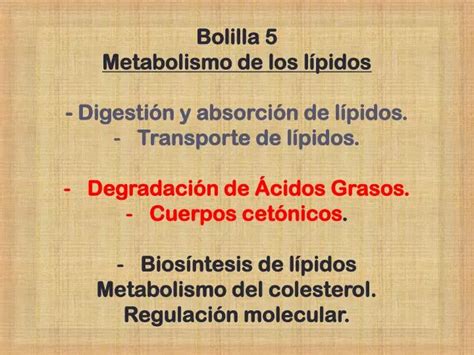 PPT Bolilla 5 Metabolismo de los lípidos Digestión y absorción de