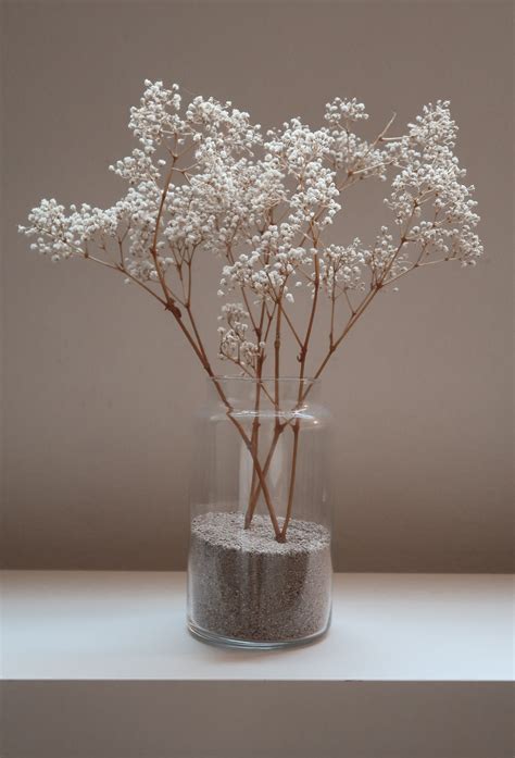 Dry Flower Arrangements In Vase Artofit