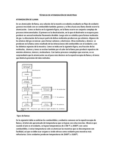 PDF TÉCNICAS DE ATOMIZACIÓN DE MUESTRAS docx DOKUMEN TIPS