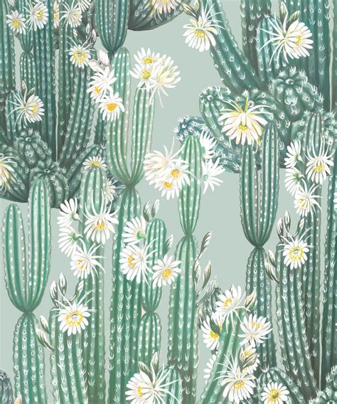 Aesthetic Cactus Wallpapers Wallpaper Cave