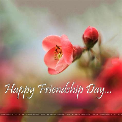 Top 90 Pictures Beautiful Wallpapers Of Friendship Love Completed