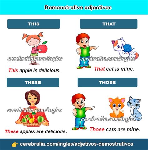 Tipos De Adjetivos Determinativos Demostrativos En Ingles Infoupdate