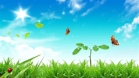 Hình nền thiên nhiên phong cảnh đẹp Thủ Thuật Phần Mềm SESOMR