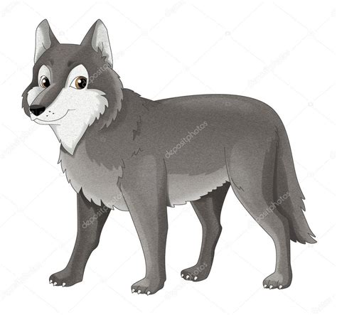 Animales de dibujos animados lobo aislado ilustración para niños