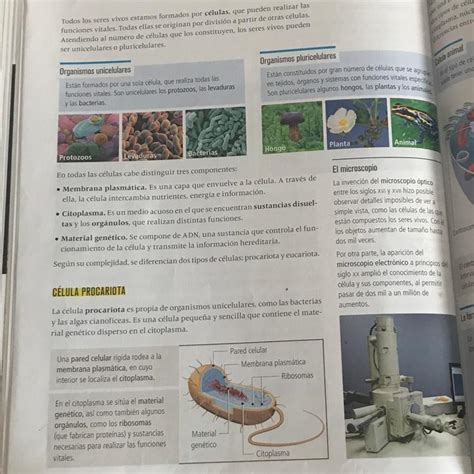 Investiga sobre la denominada teoría celular y sobre los científi y