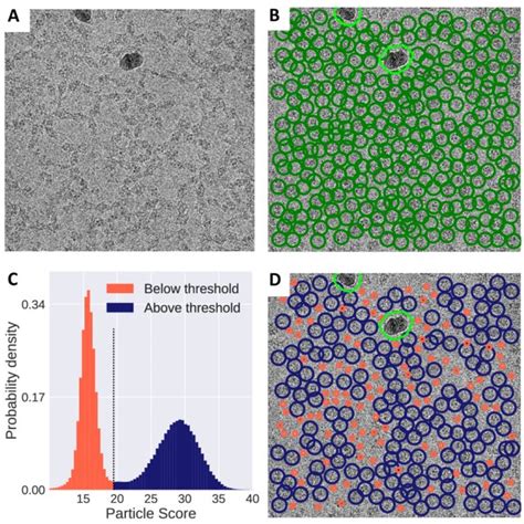 unsupervised strategy for particle picking and sorting a download scientific diagram