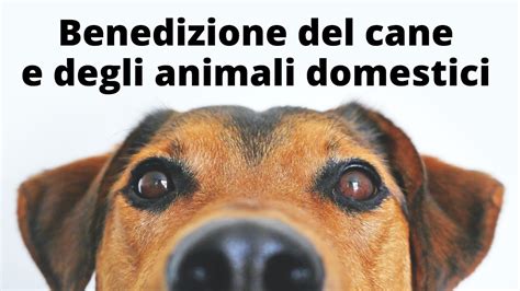 San Rocco Preghiera E Benedizione Per Gli Ammalati E Preghiera Per