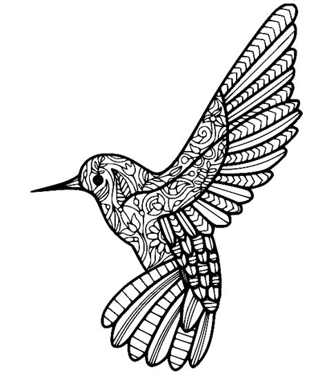 59 Hummingbird Coloring Pages ColoringPagesOnly