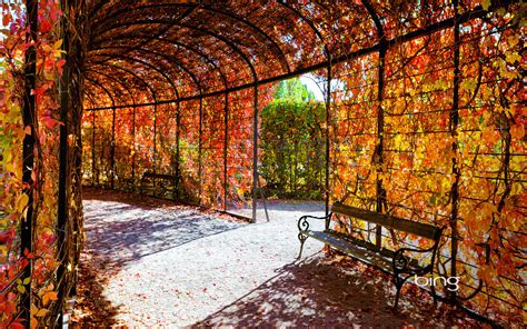 Autumn Wallpaper Examples For Your Desktop Background Web Development