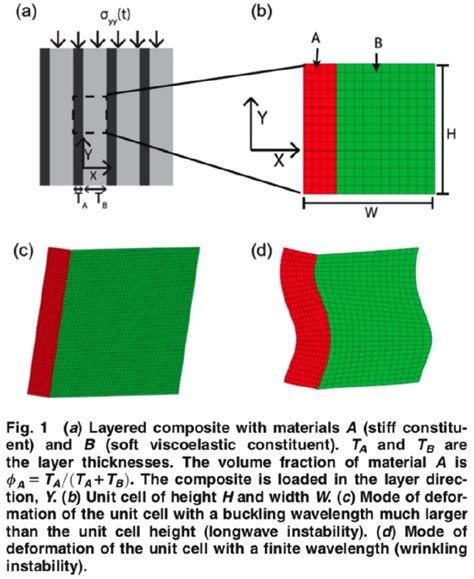 buckling and wrinkling of layered composite with combined stiff elastic and soft viscoelastic layers
