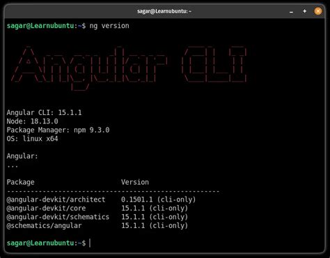 how to check the angular version of an angular projec