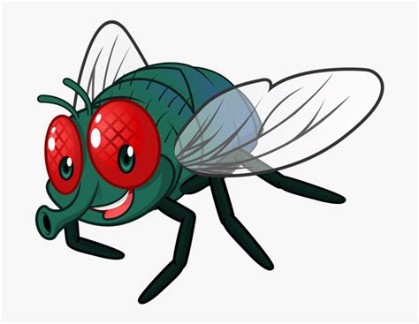 Cartoon Fly Clip Art Cartoon Fly Transparent Background HD Png