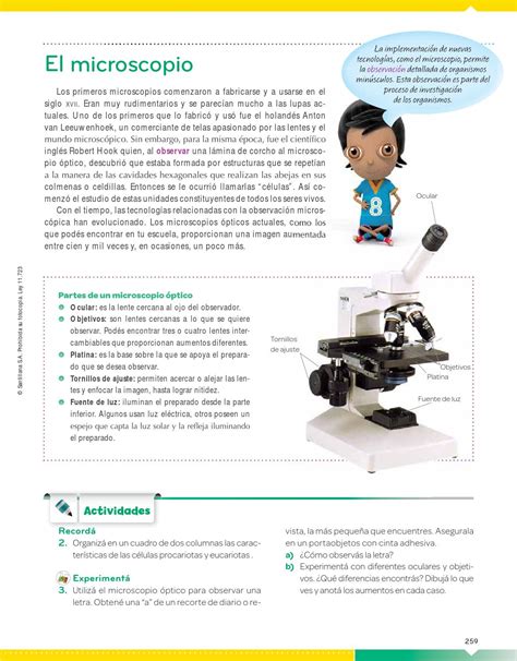 Ficha De Actividad Partes Del Microscopio Teacher Made The Best Porn