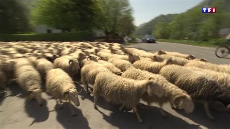 La nature renaît dans la Vallée d Aspe