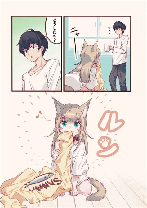 うちのねこが女の子でかわいい4 アニマルマシーン40原 オリジナル 同人誌のとらのあな全年齢向け通販