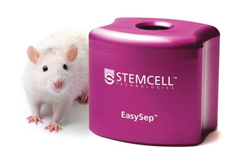 Easysep Cell Isolation Cell Separation Technology