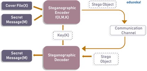 steganography tutorial a complete guide for beginners edureka 2022