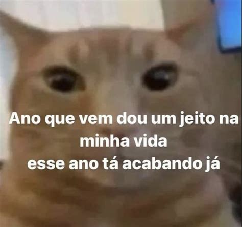Pin de Ashiley Cristina em Memes Imagens de piadas engraçadas Frases