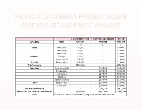 Financial Statement Project Income Expenditure And Profit Analysis