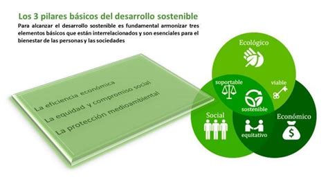 CAEB Los 3 Pilares Basicos Del Desarrollo Sostenible