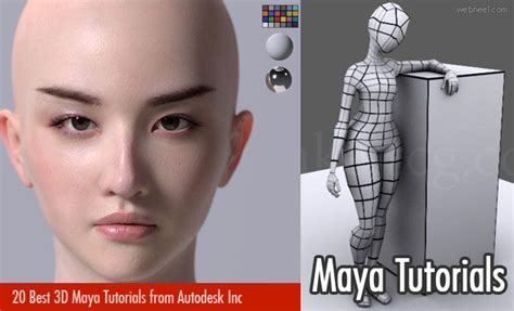 Best D Maya Tutorials For Beginners From Autodesk Inc Ds Max