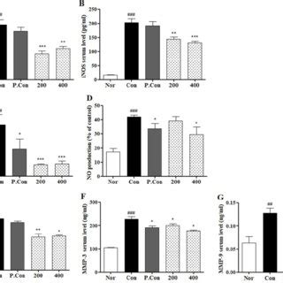 The Effects Of Scr On Serum Cox Inos Pge No Mmp Mmp And