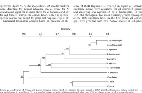 example of inter simple sequence repeats issr amplification in download scientific diagram