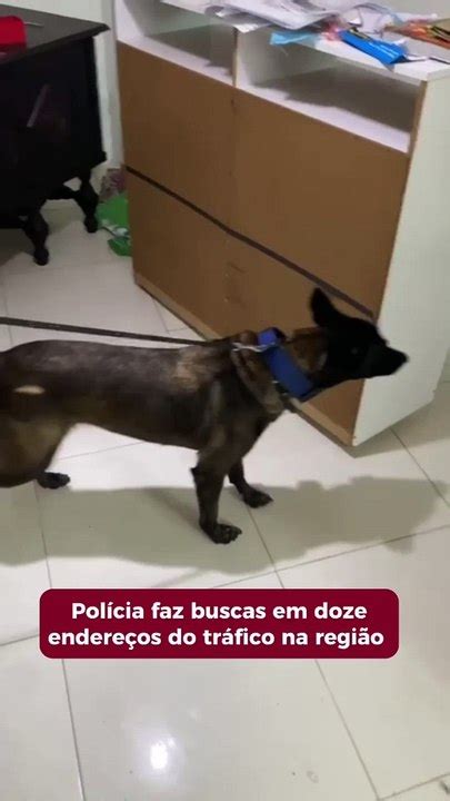 Polícia faz busca em 12 endereços do tráfico na região Vídeo Dailymotion