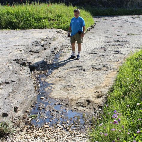 Patrimoine Le site des empreintes de dinosaures de Loulle près de