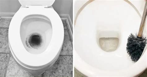C Mo Limpiar El Fondo Negro Del Inodoro