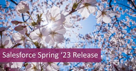 Salesforce Spring 23 Release Comselect Blog