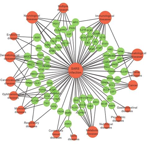 social networking how to plot a bipartite graph in r stack overflow