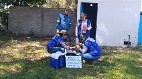 Pozos Y Manantiales De Agua Agua Org Mx