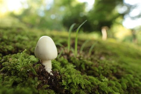 By Biwaken Id Photohito